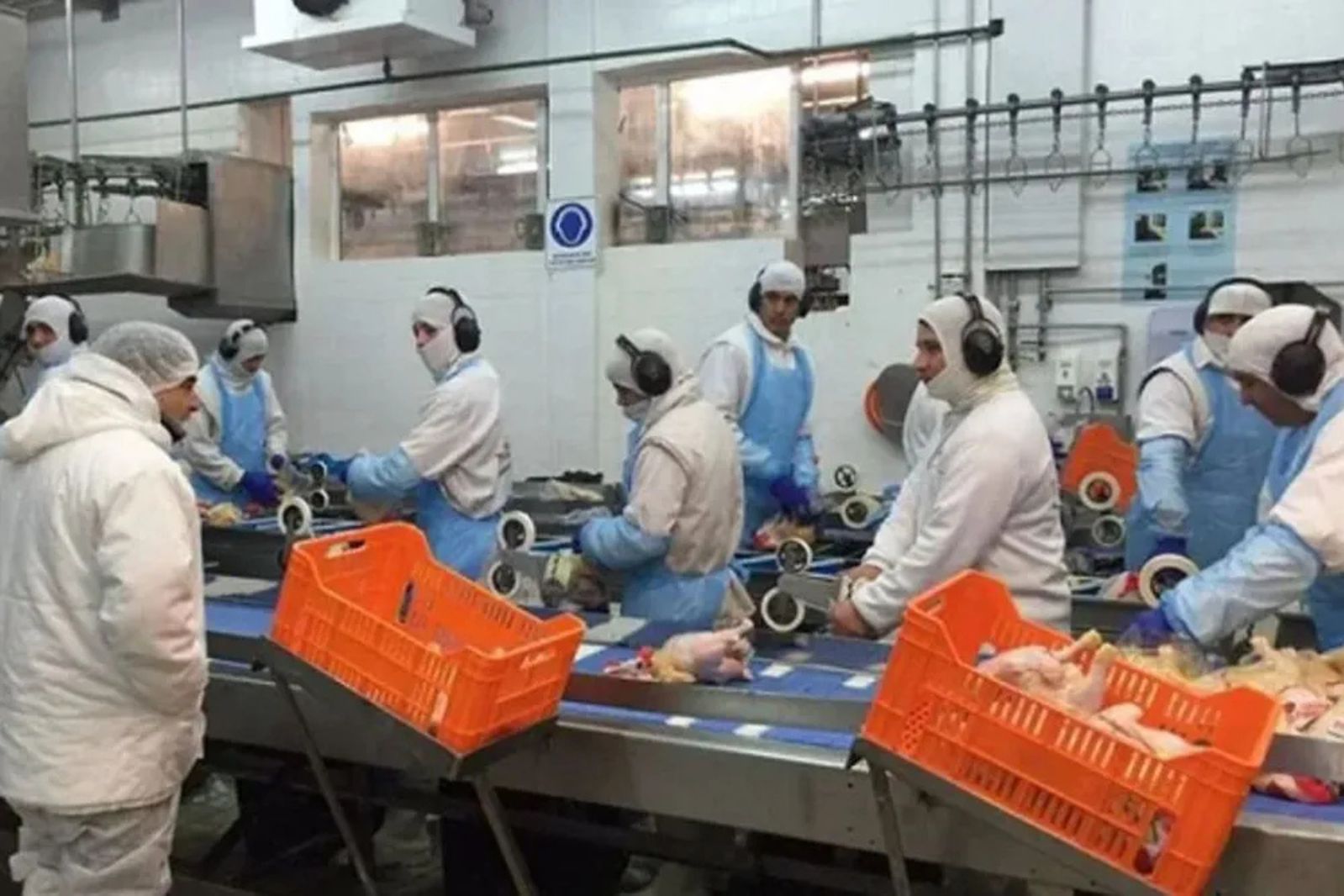 Preocupa la situación de la mayor productora de pollos del país, miles ...