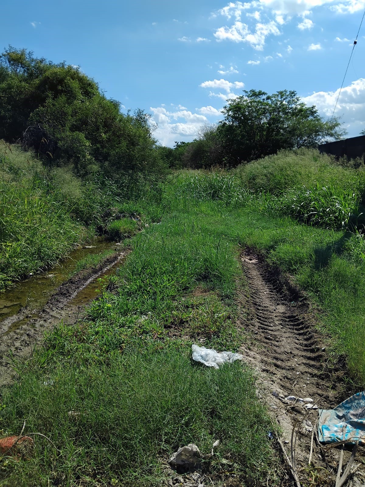 Reclamo vecinal en el barrio Borges: más de 20 años de abandono y ...