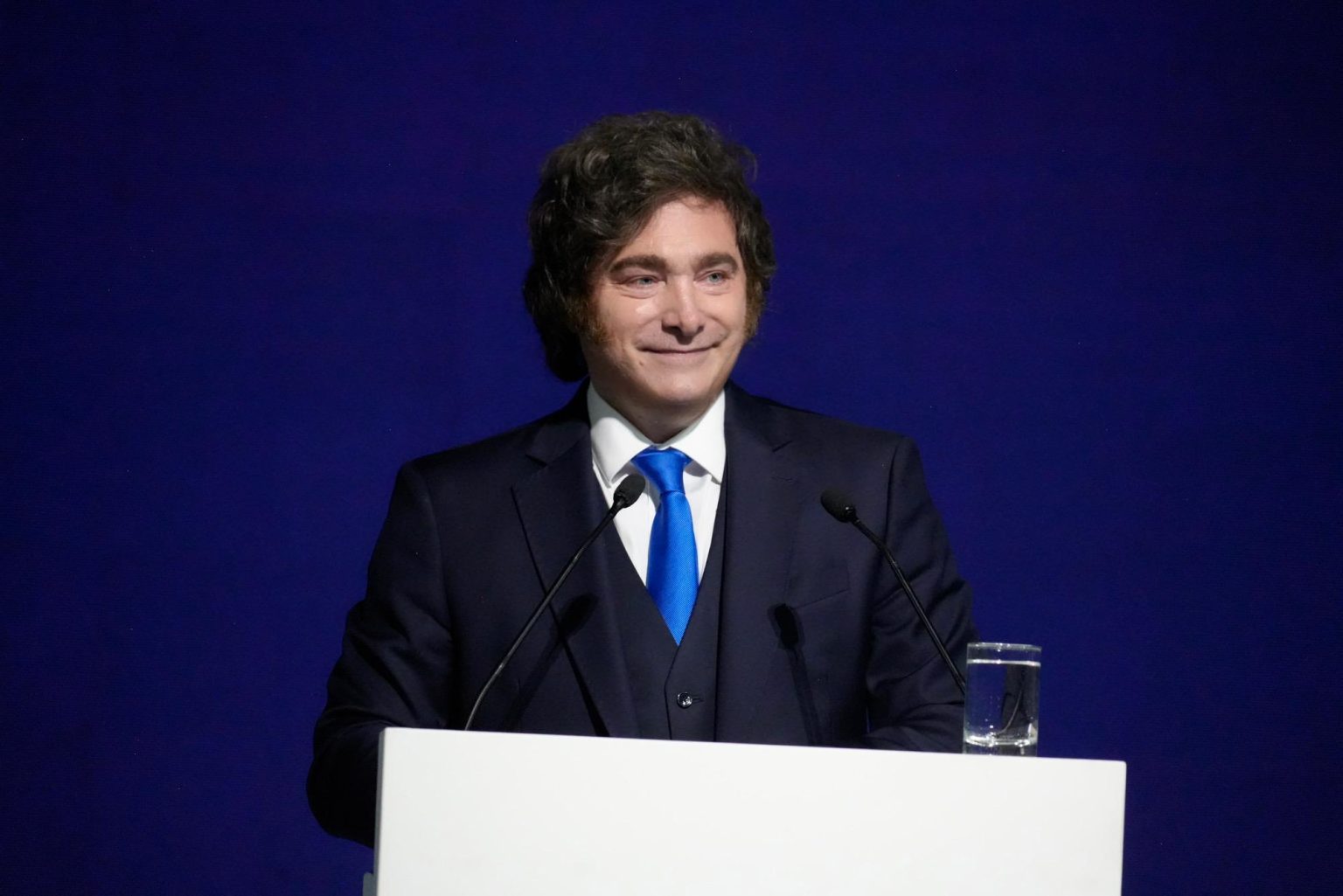 Milei respaldó el retiro de la postulación de la jueza Michelli y la ...